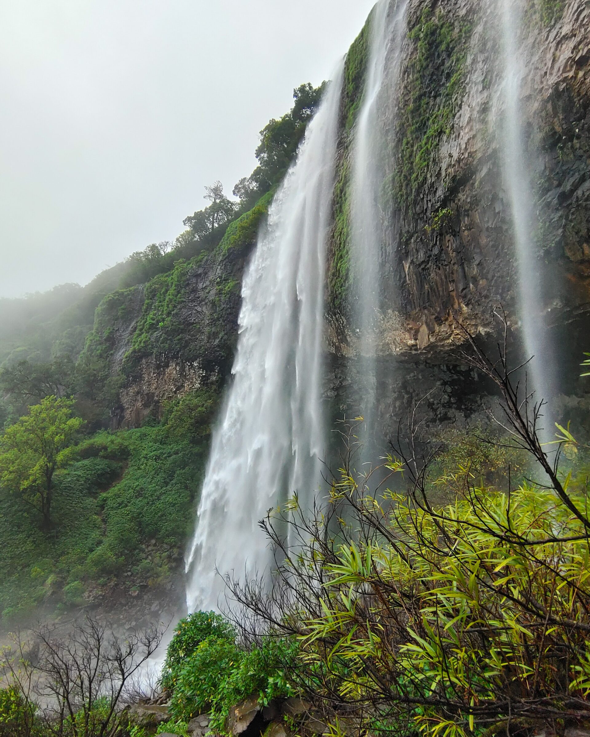 Nearby Attractions - TIlari Jungle Resort